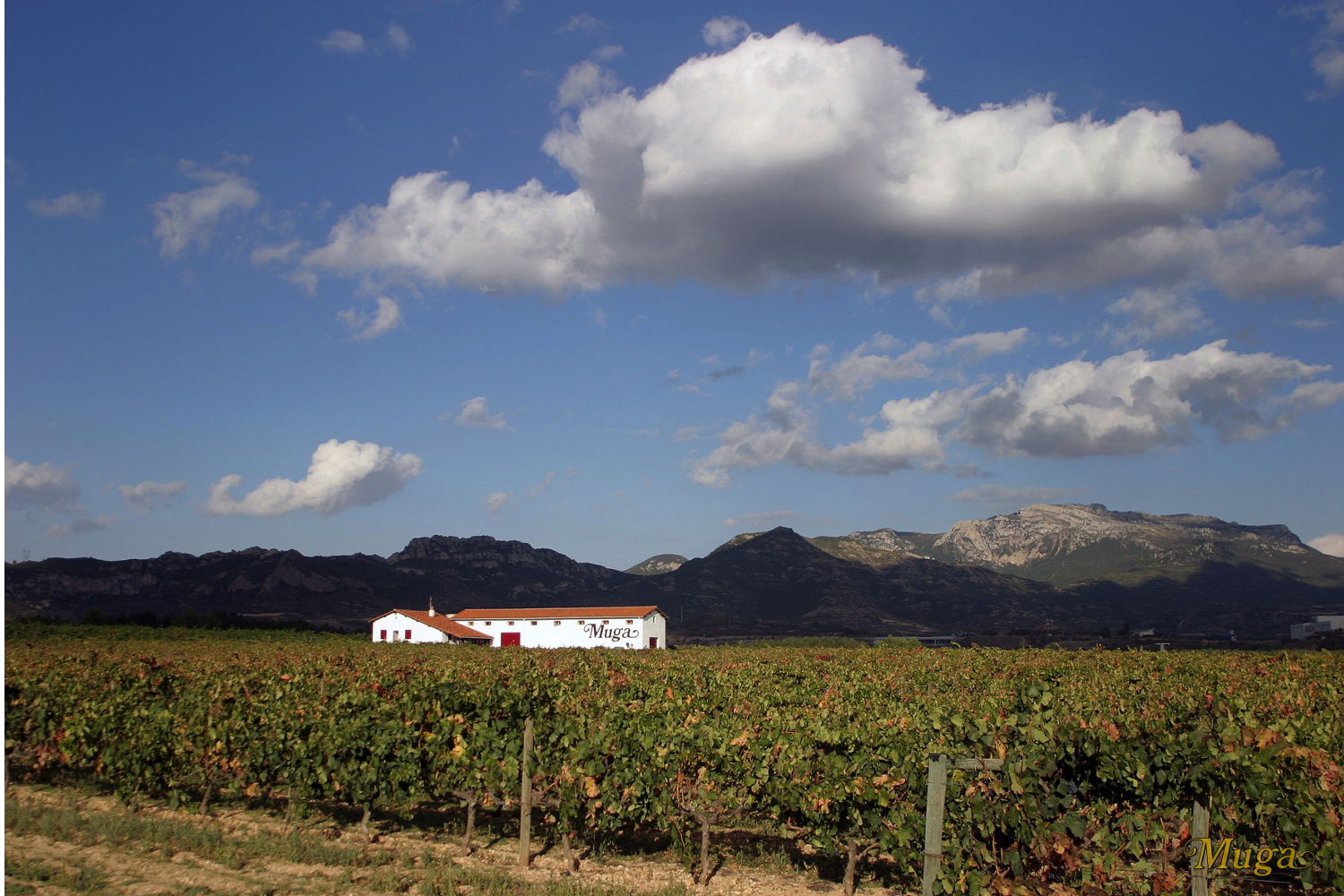 图片库 - Muga · Chinese site