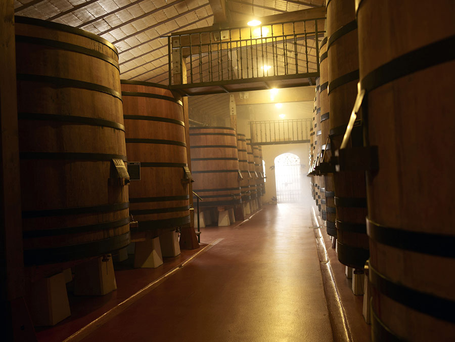 Guided Tour · The winery inside - Muga Winery Guided Tour · The winery inside - Muga Winery